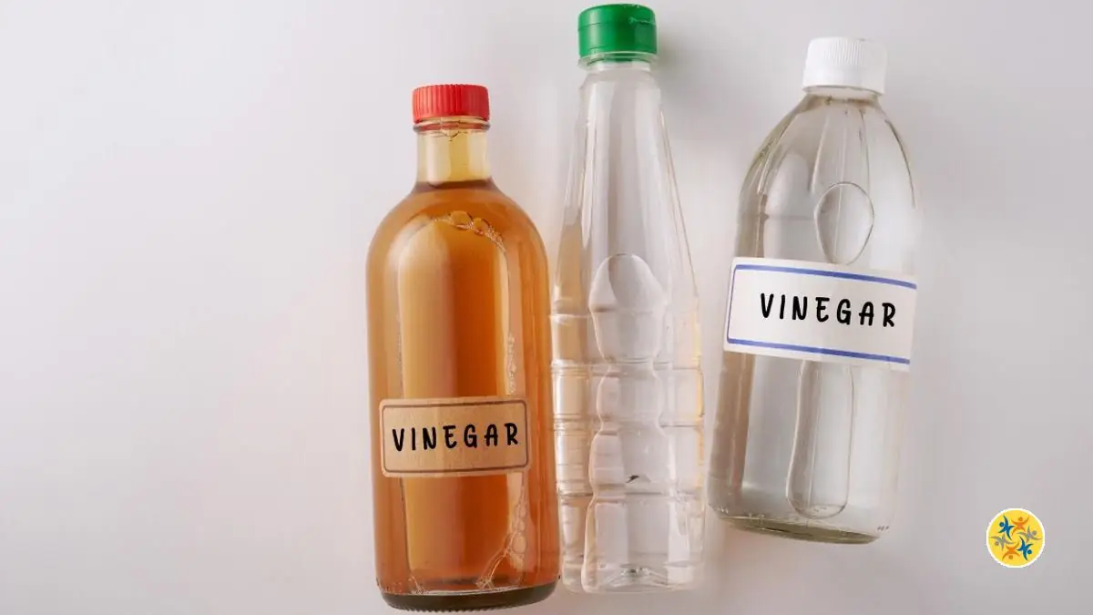 Pourquoi Devrait le Vinaigre Blanc être Votre Allié à la Maison